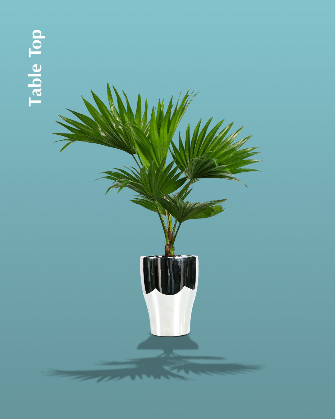 Table Top – Home and Garden