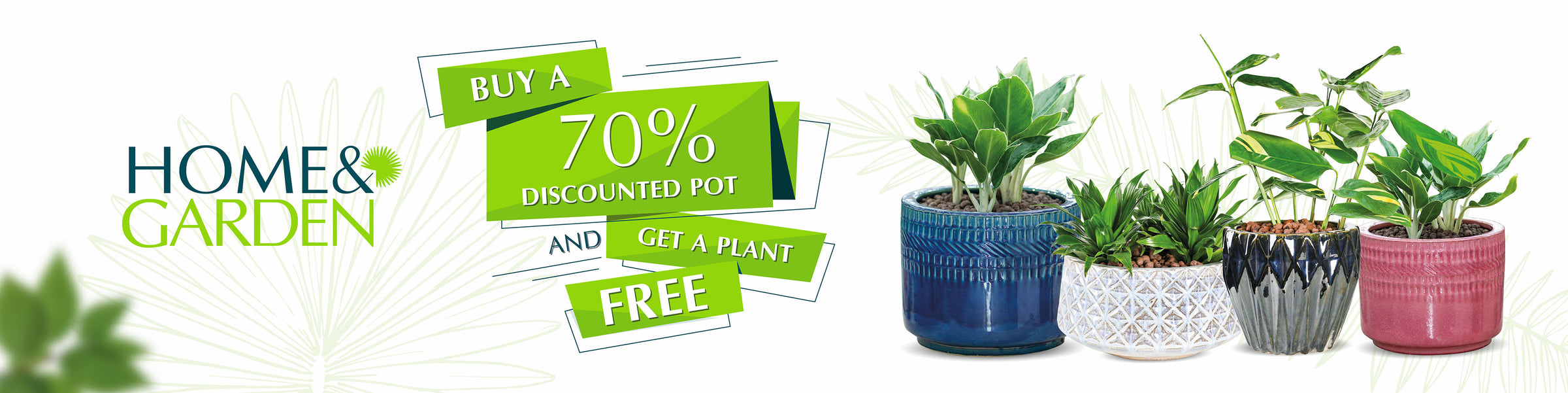 Home and Garden | Buy your favorite plant online!